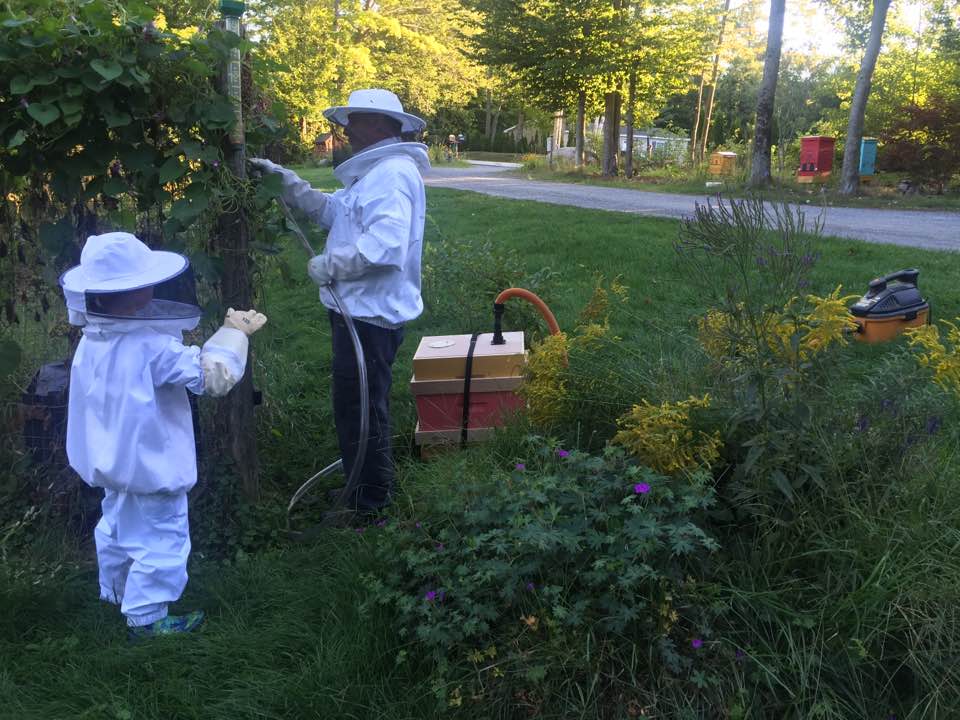 Services – Green Root Farm